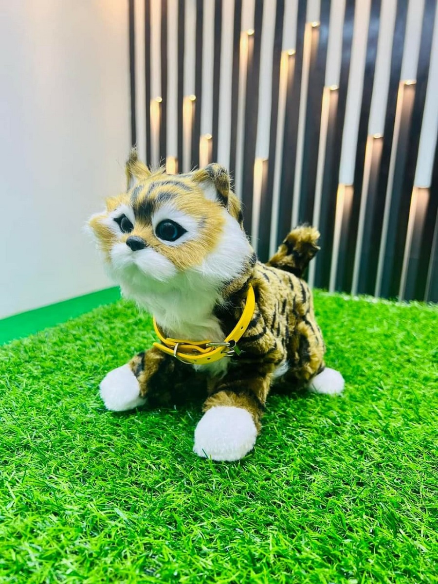 Sensor System China Cat Doll || 3522